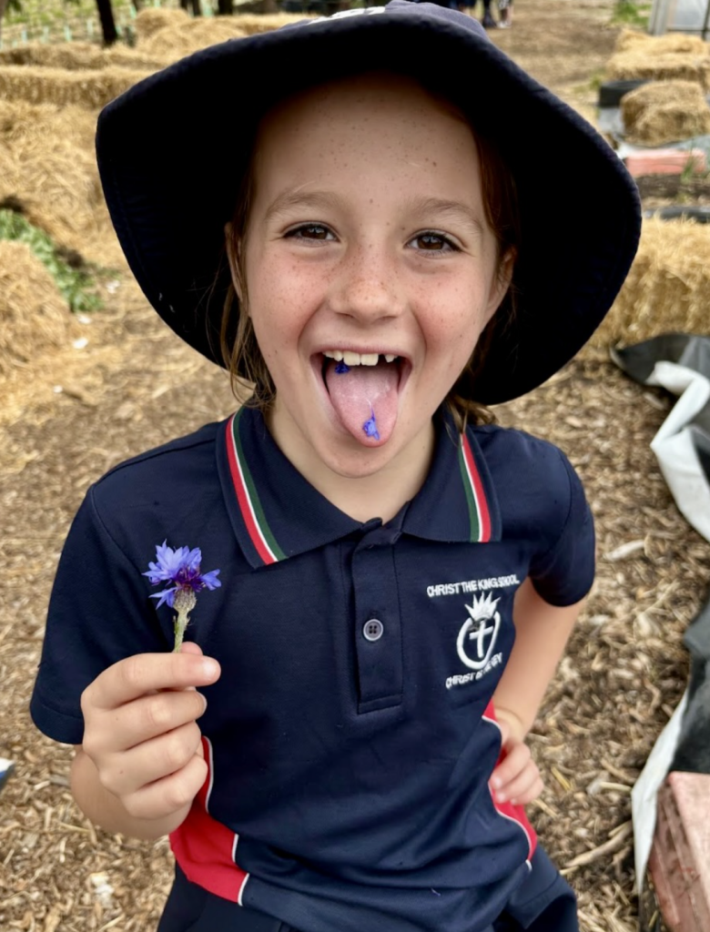 MLC Farm My School Excursion - Term 4, 2024 - Christ the King Newcomb